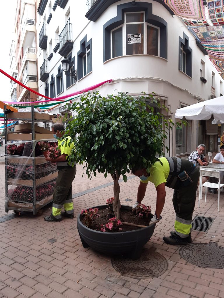 Parques y Jardines planta 800 especies florales y arbustales En la ...